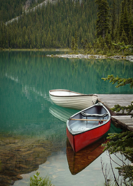 Competition - CompetitionScores.Web